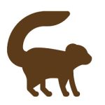 Kizer Exotics Animals